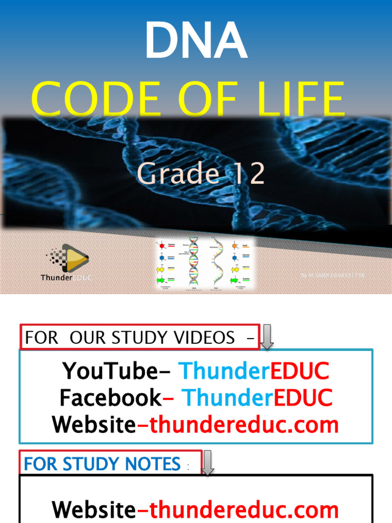 Dna Code of Life | PDF | Rna | Dna