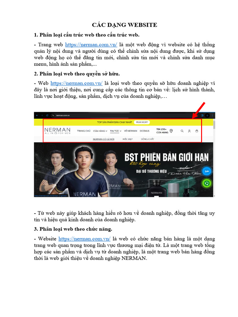 Các D NG Website | PDF