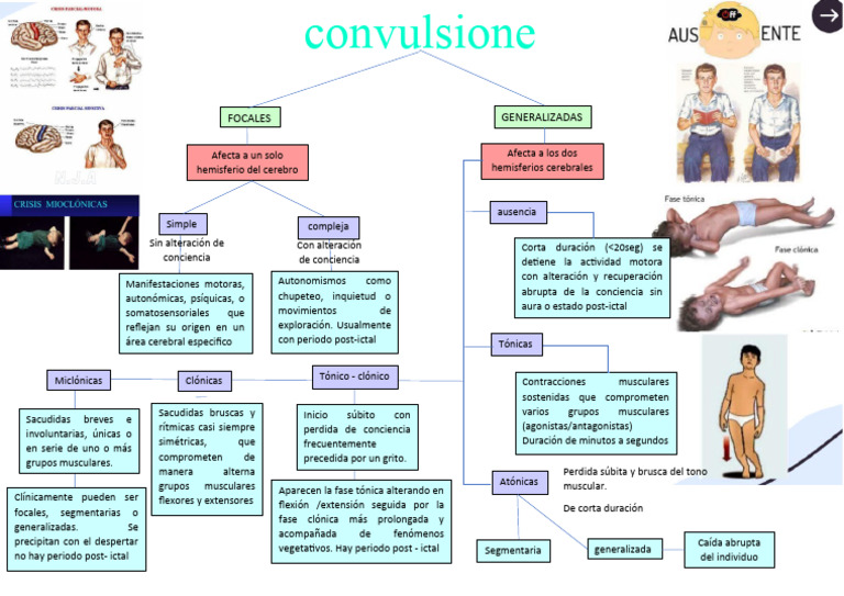 Tipos de Convulsiones y Fases Clínicas | PDF | Cerebro | Neurociencia
