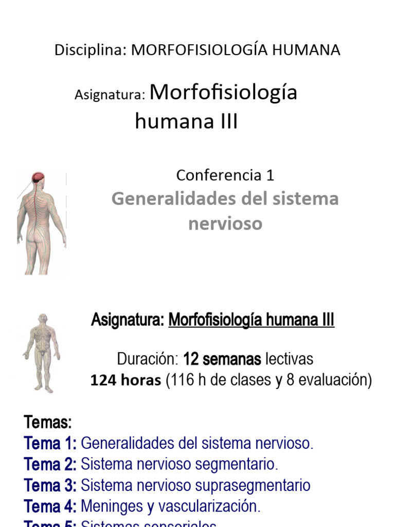 Morfofisiología del Sistema Nervioso | PDF | Sistema nervioso | Neurona