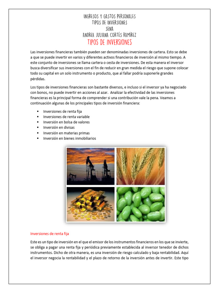 Tipos de Inversiones - Andrea Cortés | PDF | Inversiones | Portafolio ...