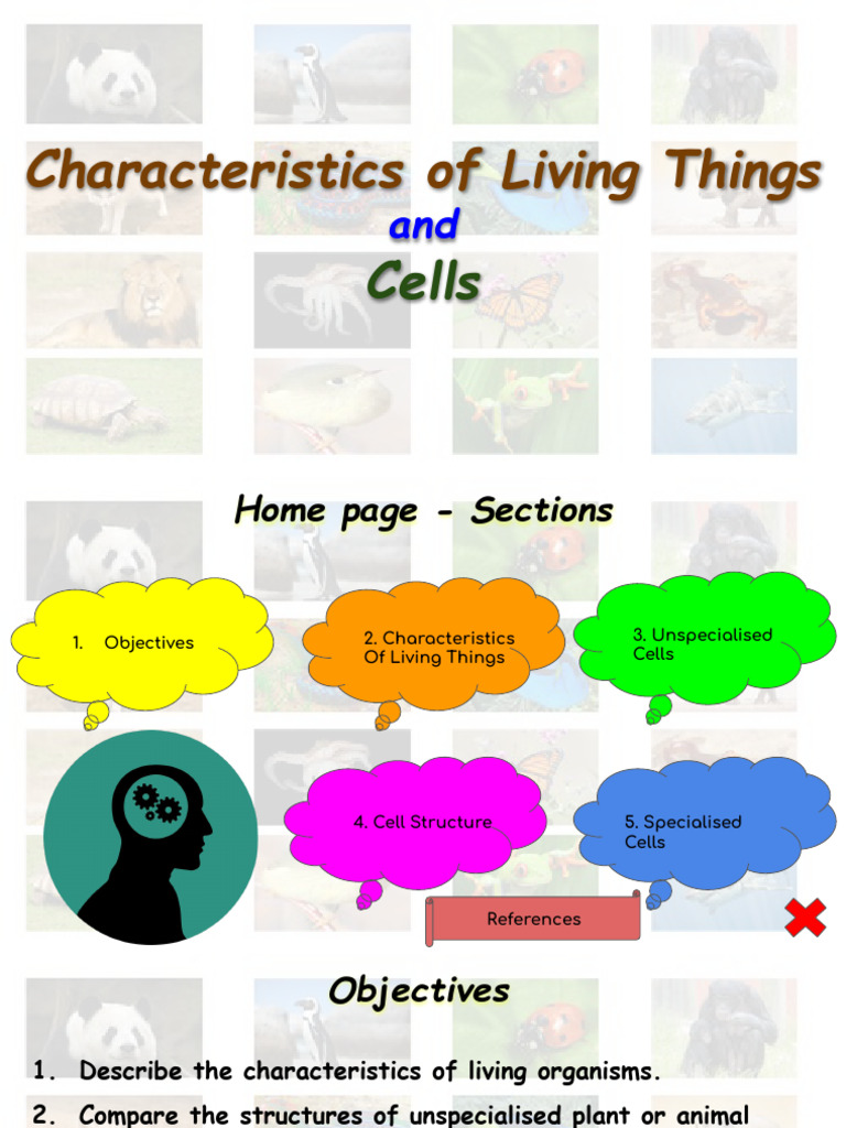 Characteristics of Living Things Cells | PDF | Cell (Biology ...