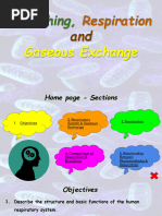 IGCSE Biology: Respiration Overview | PDF | Respiratory System ...