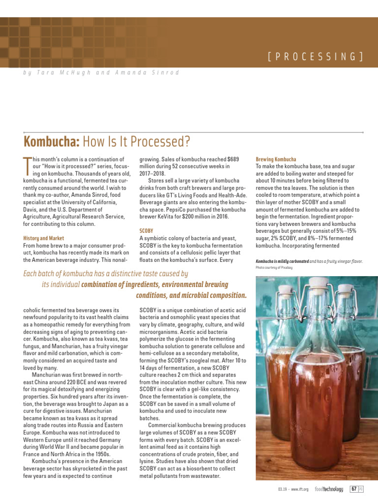 kombucha-how-is-it-processed | PDF | Fermentation | Drink