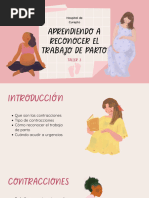 Cuidados en el Puerperio Tardío | PDF | Parto | Periodo posparto