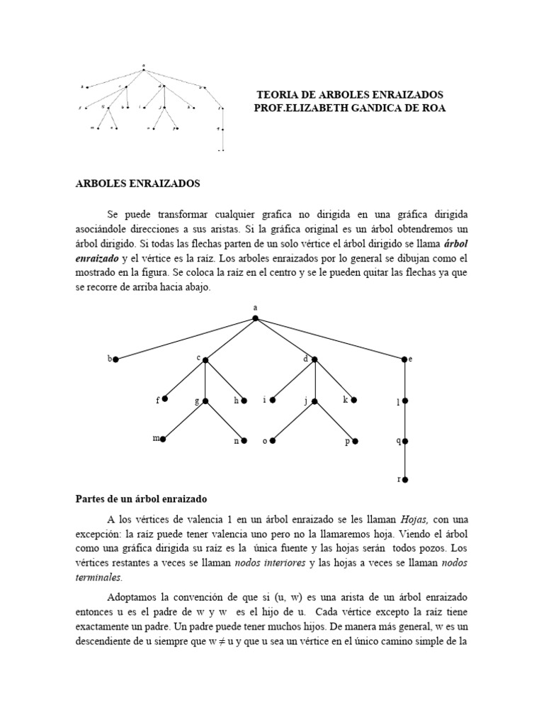 Teoria de Arboles Enraizados | PDF | Informática teórica | Algoritmos y ...