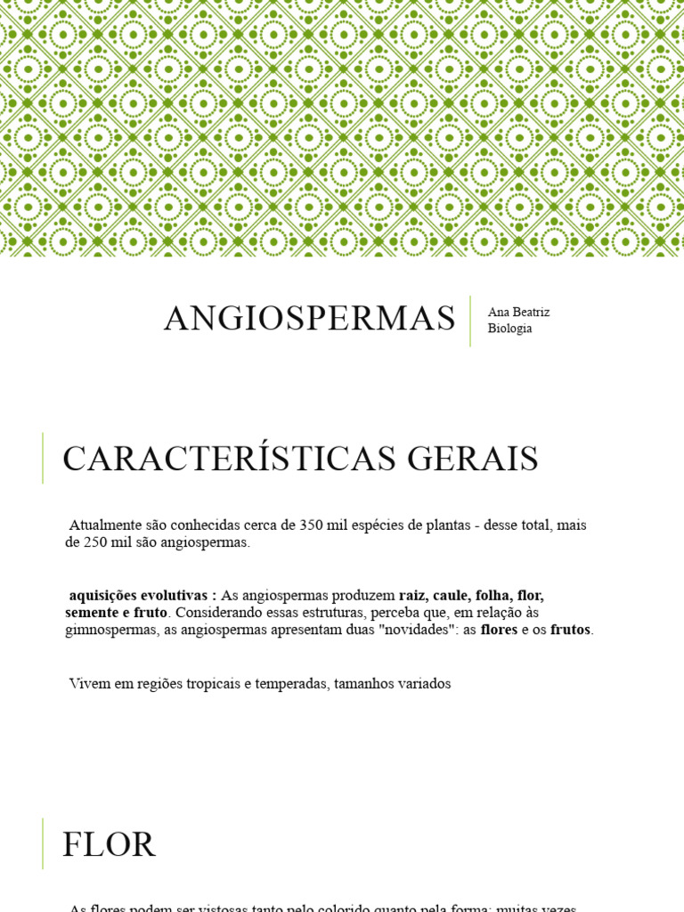 Filo Angiospermas | PDF | Flores | Áreas da Botânica