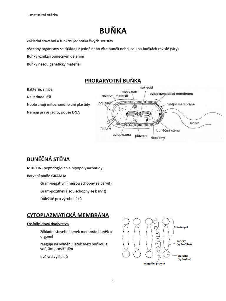 Biologie-1 | PDF