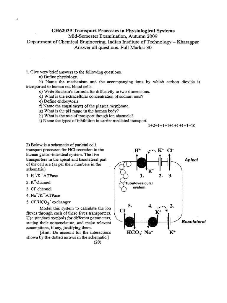 Transport Process in Physiological Systems | PDF