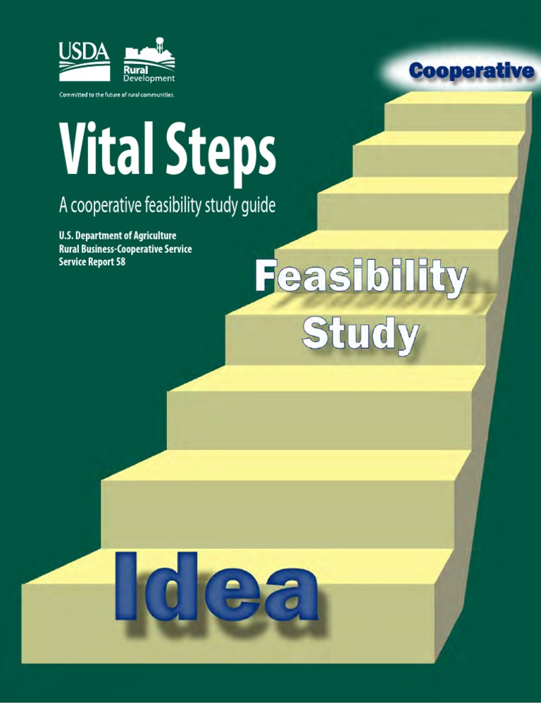 Feasib Format | Feasibility Study | Loans