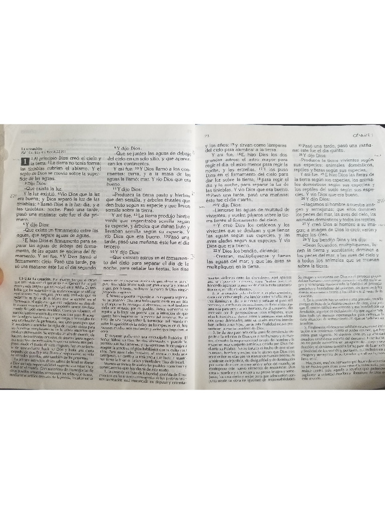 Libro De Génesis Capítulo 1 Pdf