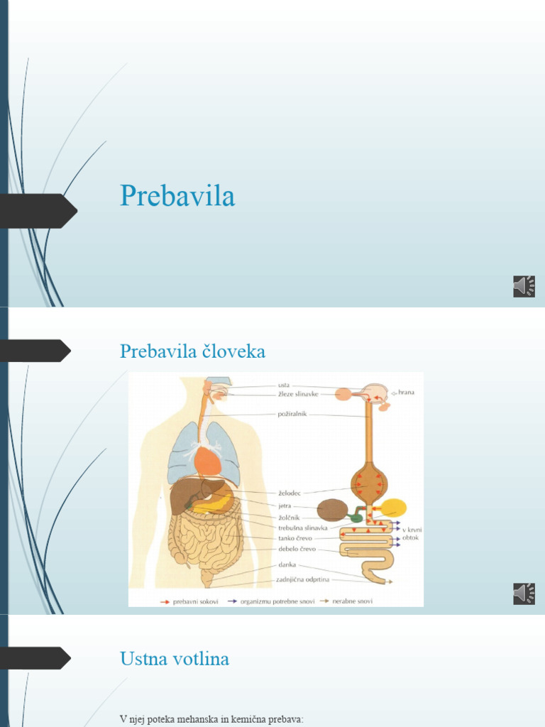 Prebavila | PDF