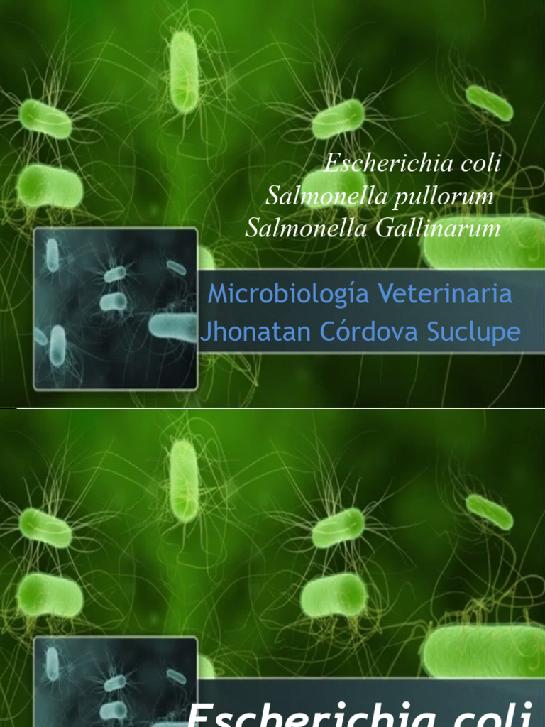 E. Coli y Salmonella | PDF | Escherichia coli | Diarrea