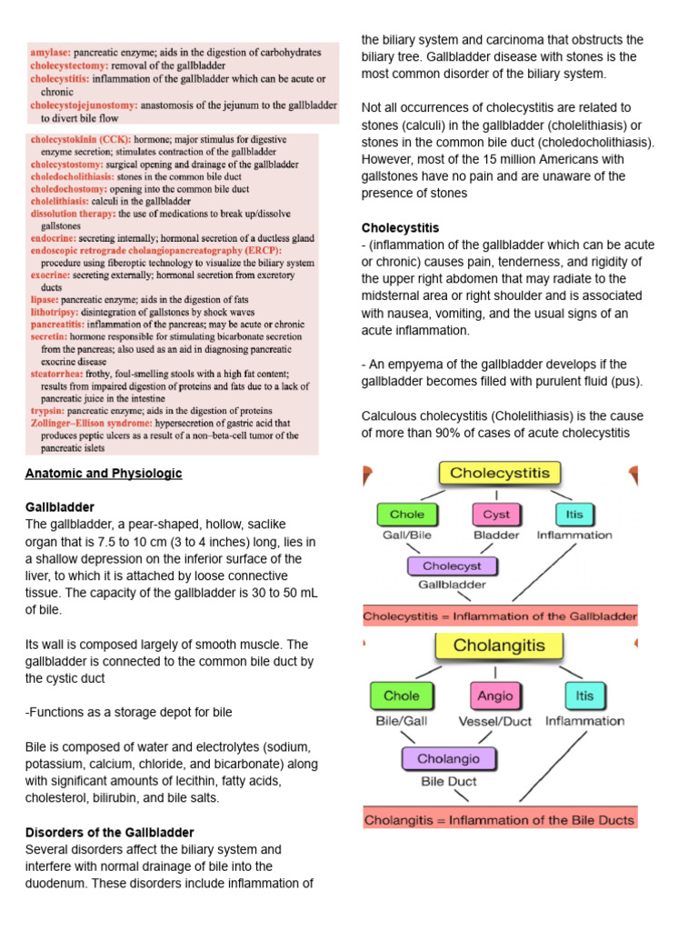 Gallbladder and Pancreas Disorders Explained | PDF | Pancreas | Gallbladder
