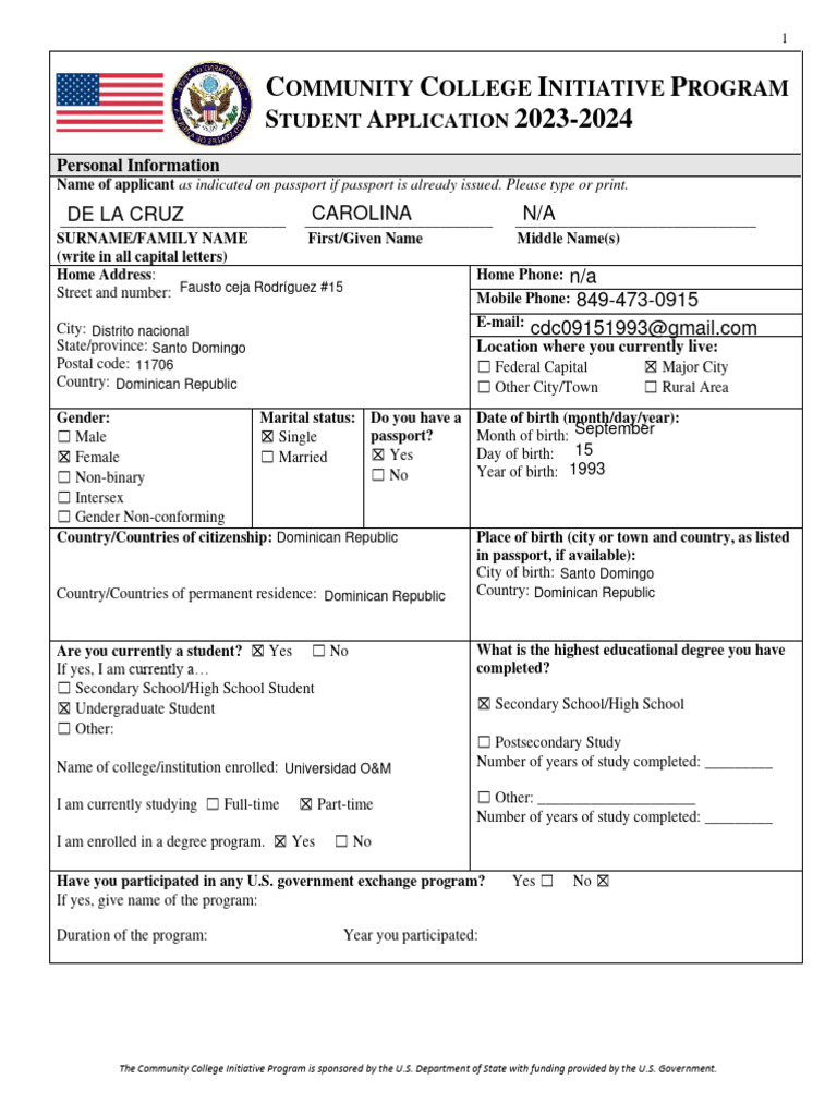 CCI Program AY 2023 2024 Application Fillable | PDF | Psychological ...