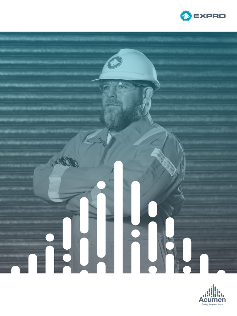 Acumen Brochure | PDF | Business | Computers