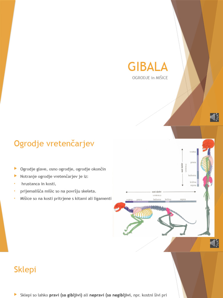 GIBALA S Posnetkom | PDF