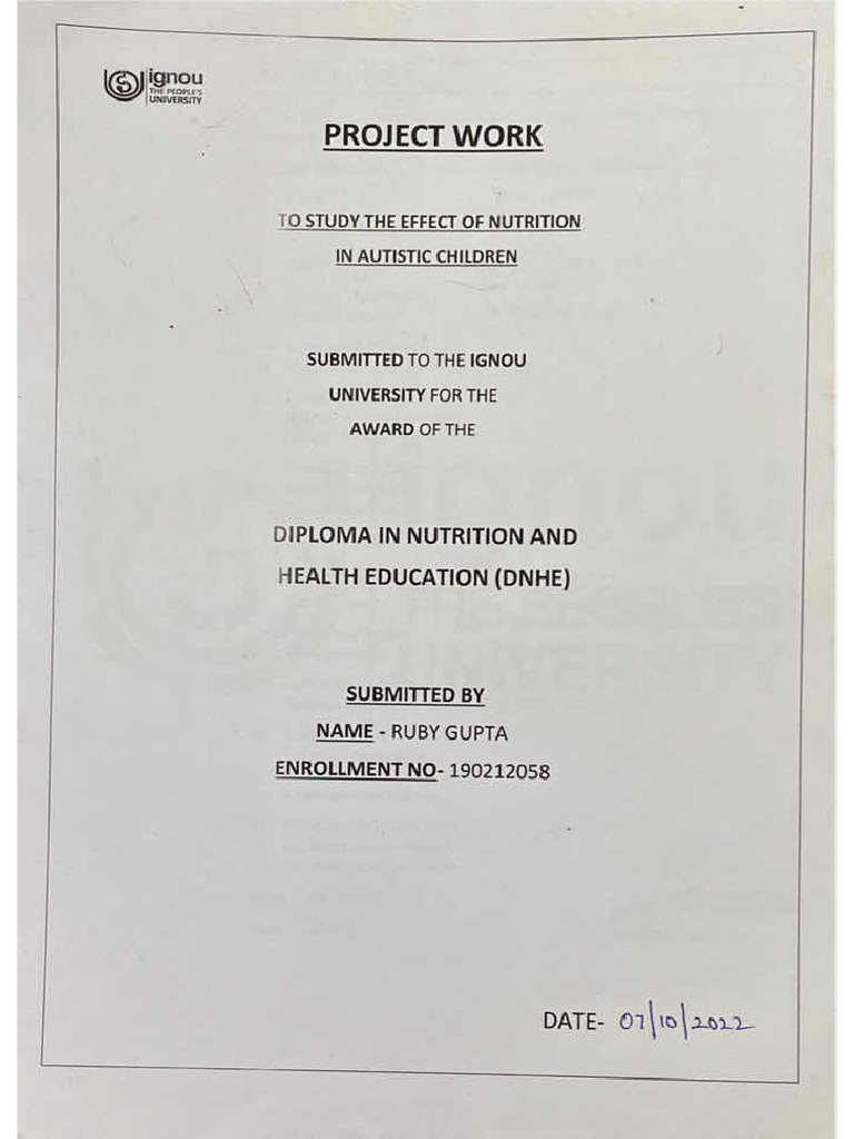 Project Report DNHE | PDF