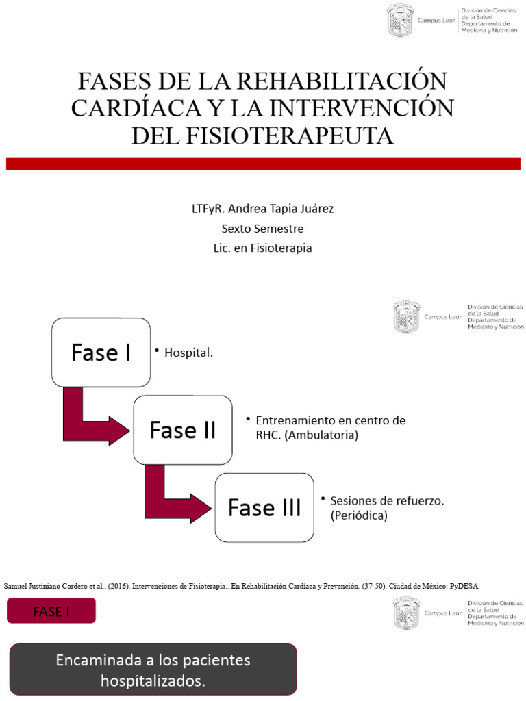 Fases de La RHC e Intervención Del FTP. | PDF