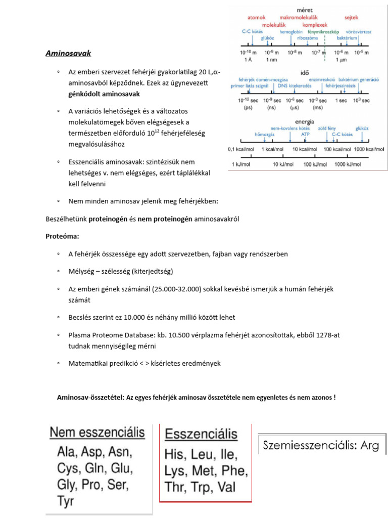 Biokémia Jegyzet | PDF