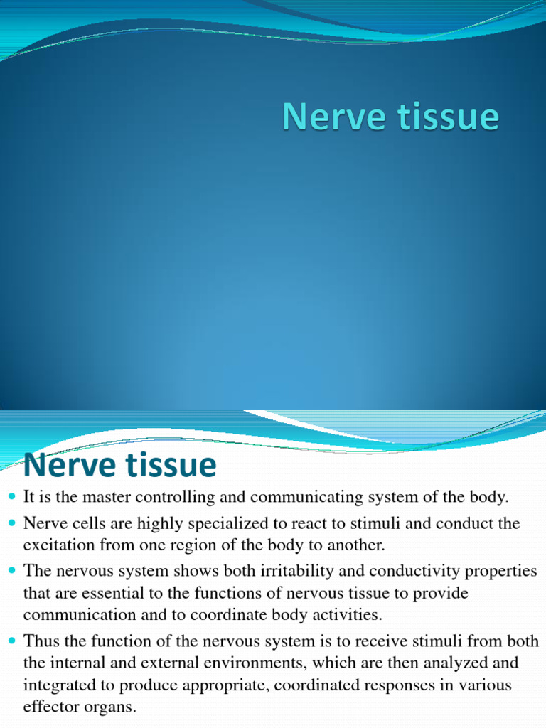 Anatomy | PDF | Science & Mathematics