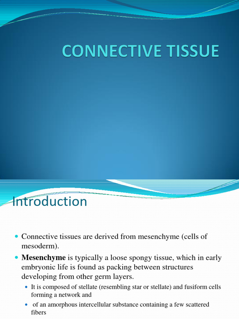 CT | PDF | Connective Tissue | Bone