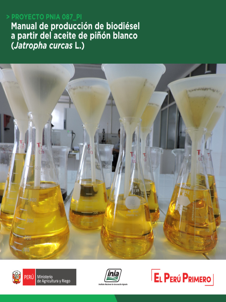 Pub - Manual de Producción de Biodiésel PDF | PDF | Biodiésel | Petróleo