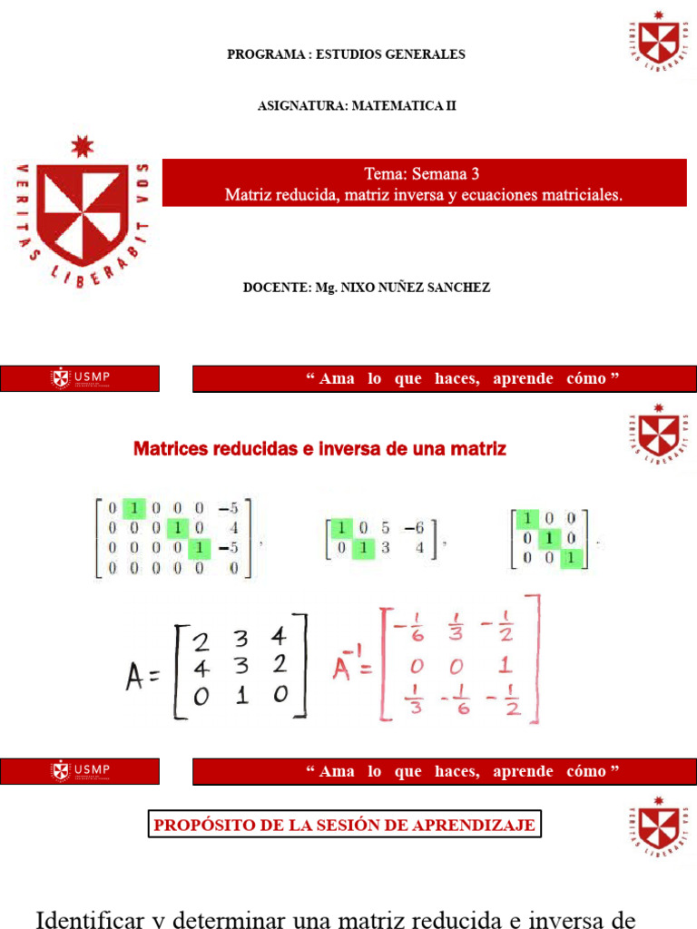 Sesión 5 | PDF | Matriz (Matemáticas) | Análisis matemático