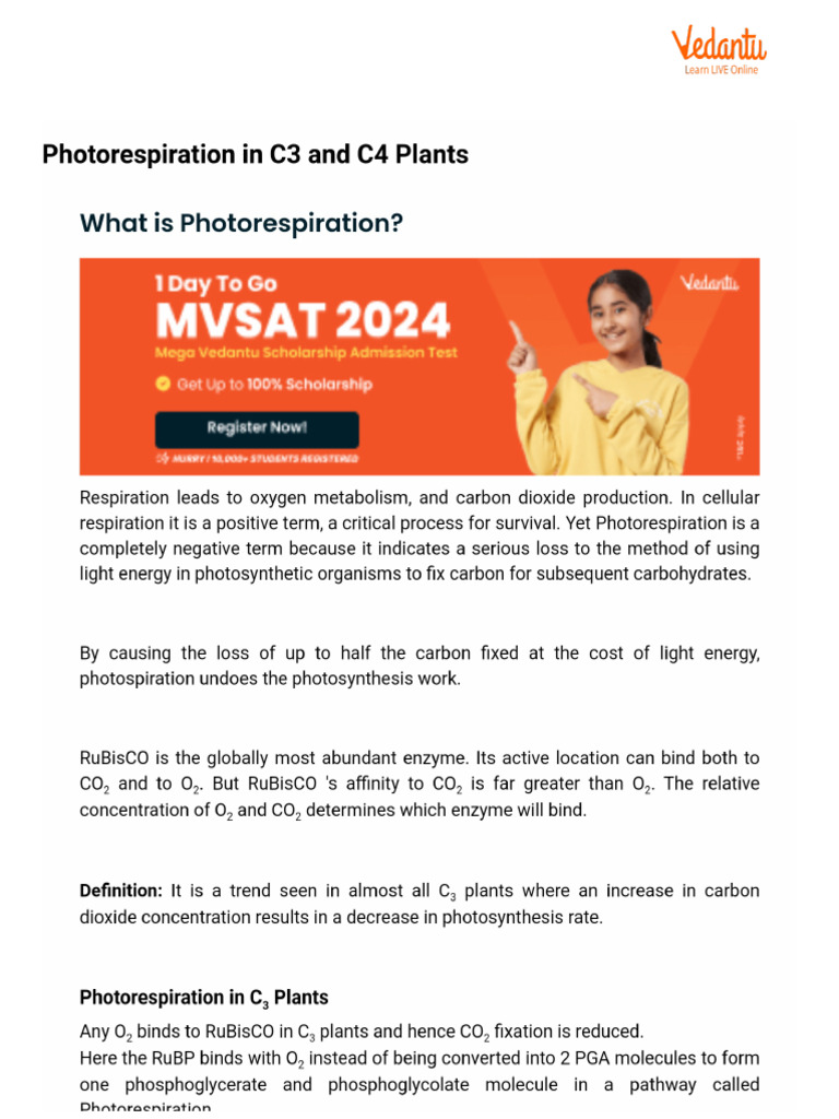 Photorespiration in C3 and C4 Plants | PDF