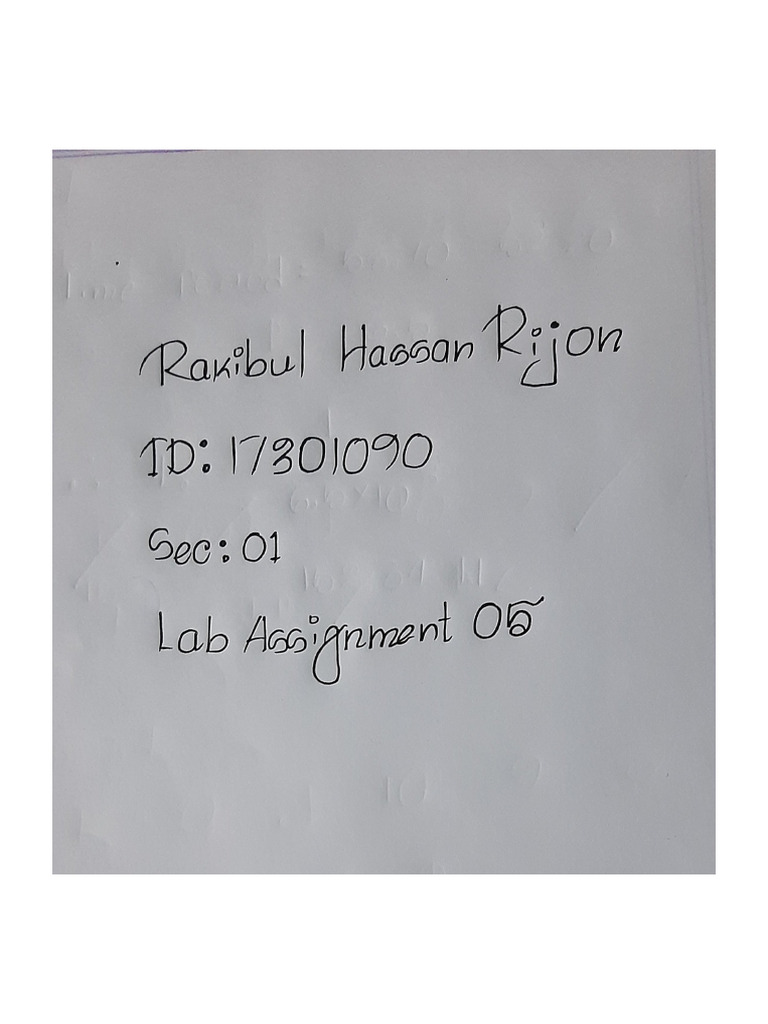 01 - 17301090 - Rakibul Hassan Rijon | PDF