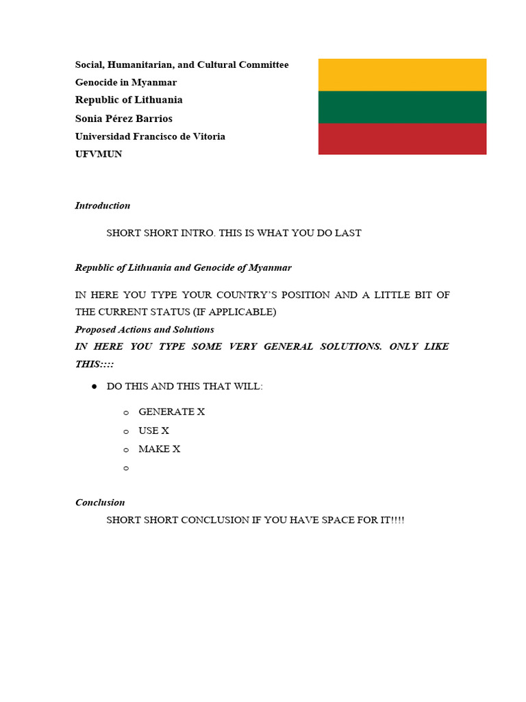 LITHUANIA Position Paper | PDF