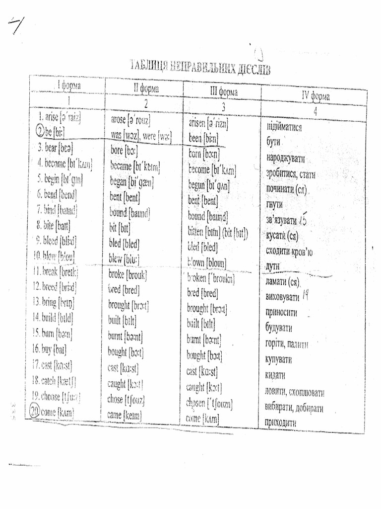 Irregular Words | PDF