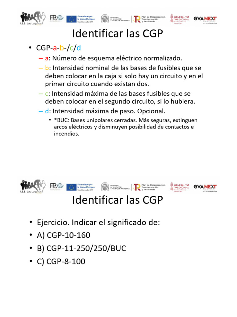 Identificar Las CGP | PDF