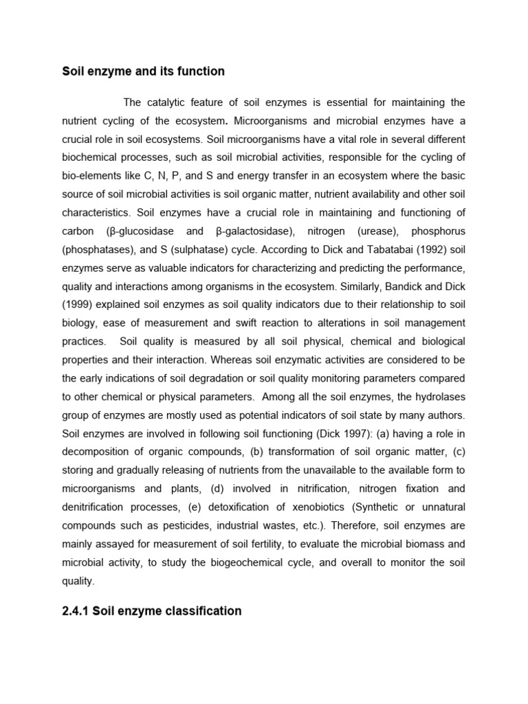 Soil Enzyme and Its Function | PDF