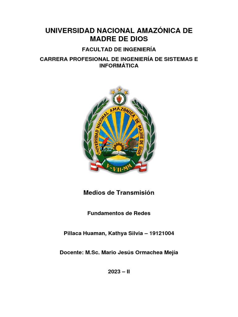 Pillaca Kathya - Medios - de - Transmisión | PDF