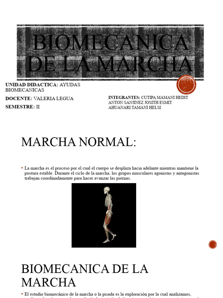 BIOMECANICA DE LA MARCHA | PDF | Pie | Rodilla