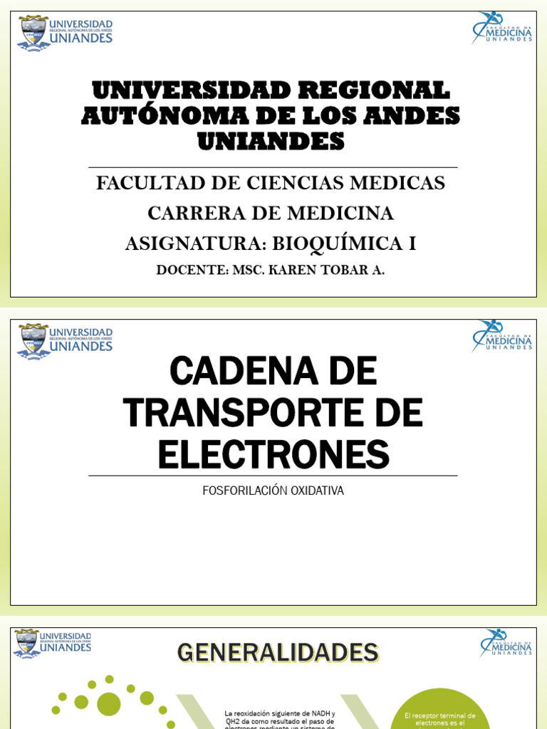 Cadena Transporte de Electrones | PDF | Trifosfato de adenosina | Cadena de transporte de electrones