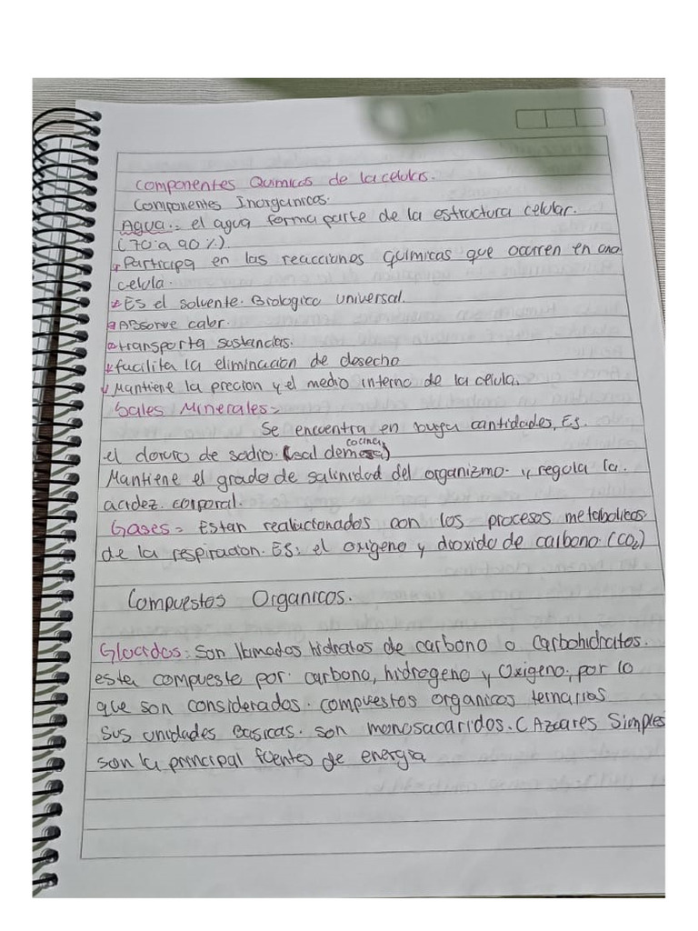 Practica Asignada 2 Sofia Avalos | PDF