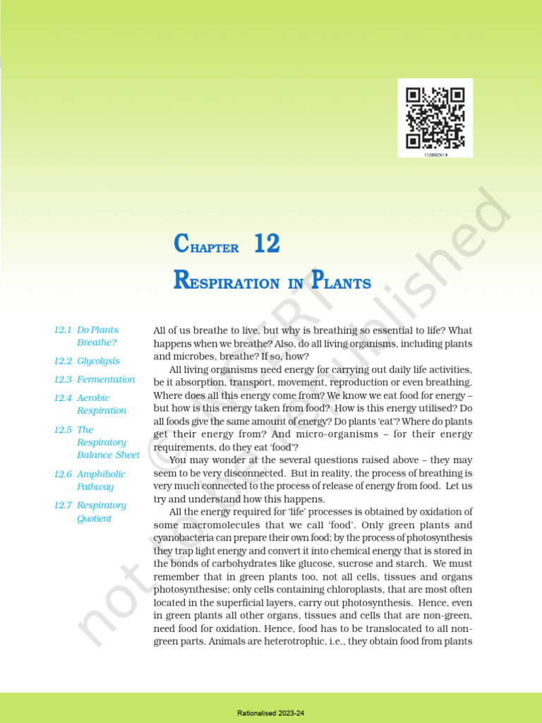 Respiration in Plants-1 | PDF | Cellular Respiration | Photosynthesis
