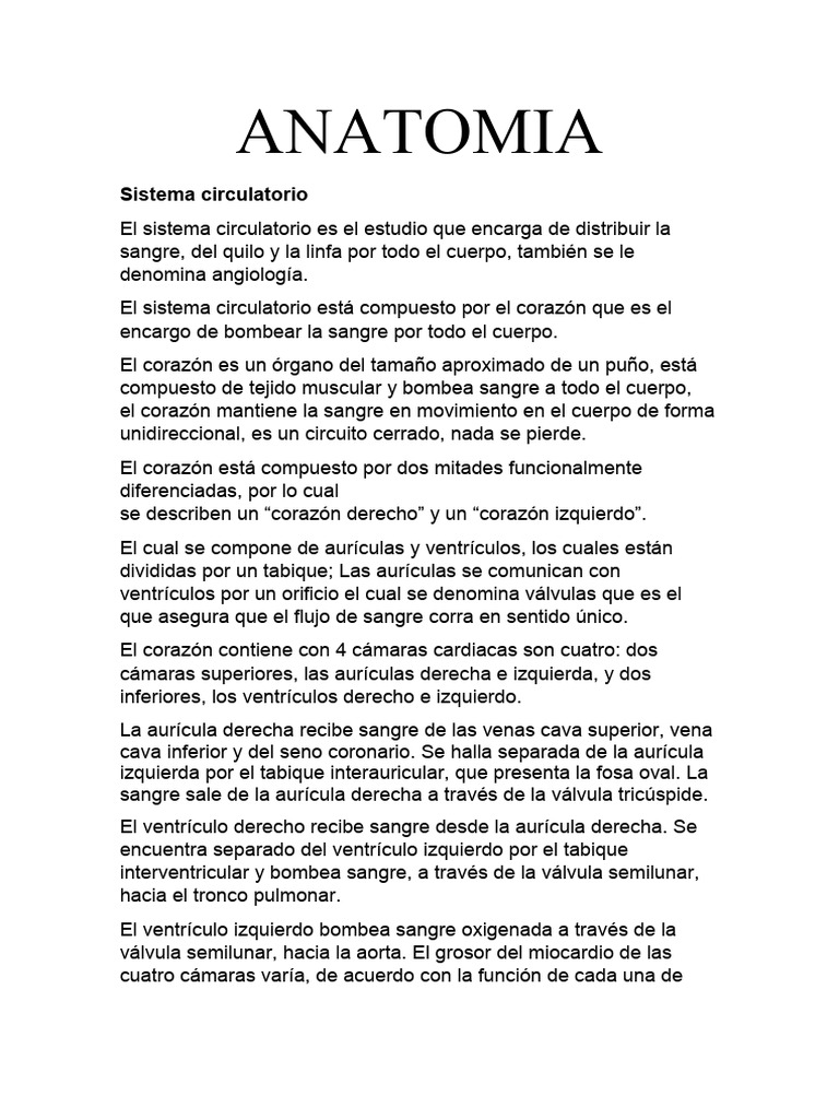 Anatomía del Sistema Circulatorio | PDF | Sistema circulatorio | Corazón