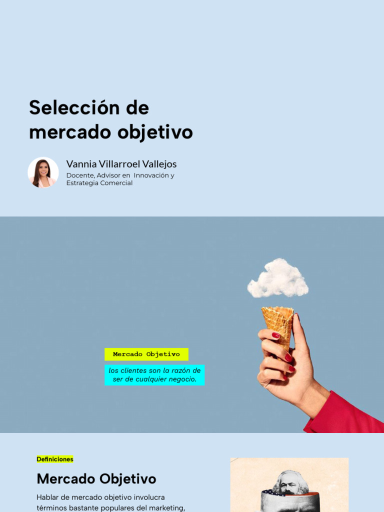 Seleccion de Mercado Objetivo | PDF