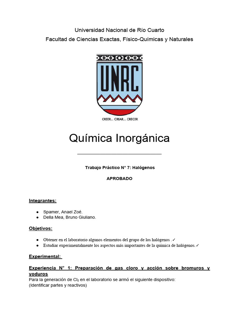 Experimentos con Halógenos: Cloro, Bromo e Iodo | PDF | Cloro | Redox