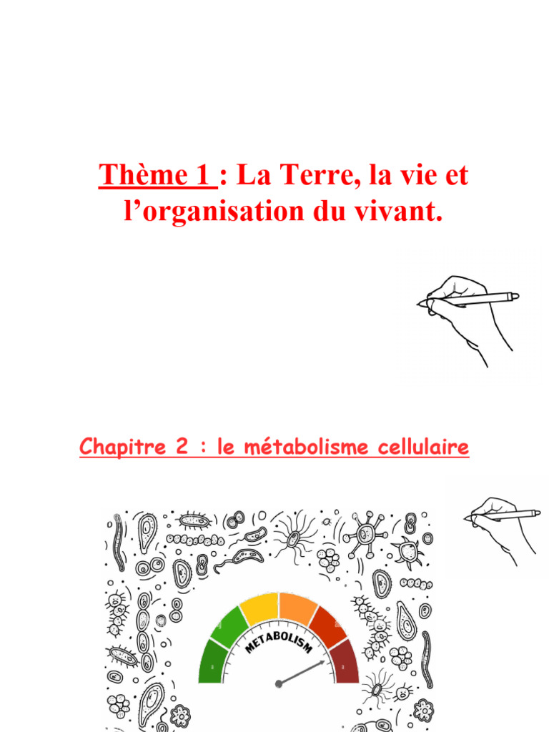Cours Chp2 | PDF | Cellule (Biologie) | Métabolisme