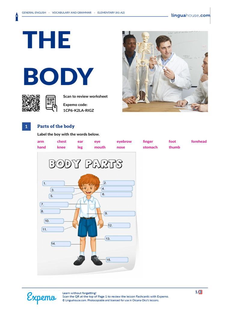 The Body British English Teacher | PDF | Syntax | Grammar