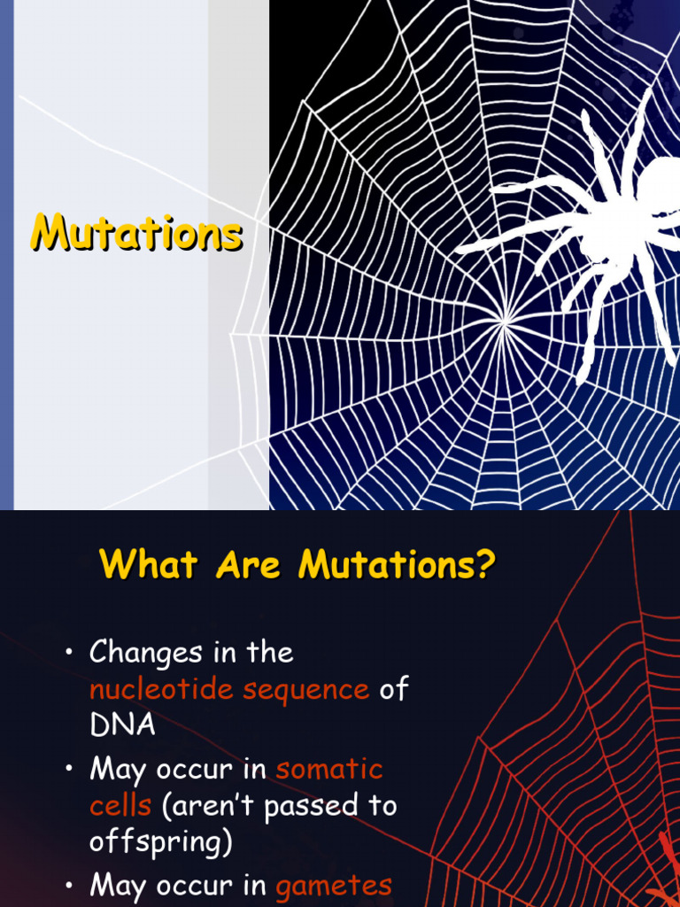 Mutation With Pic | PDF | Mutation | Point Mutation