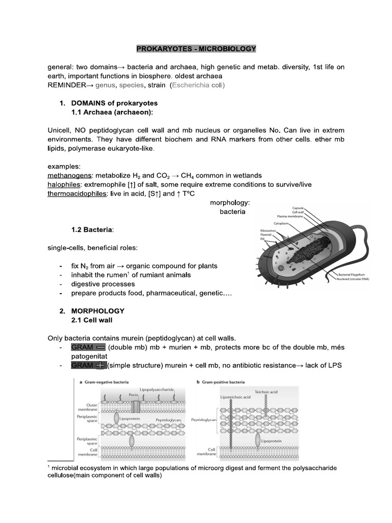 notes microbiology | PDF