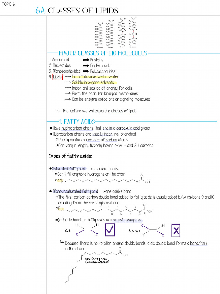 Biochem: Classes of Lipids | PDF | Lipid | Fatty Acid