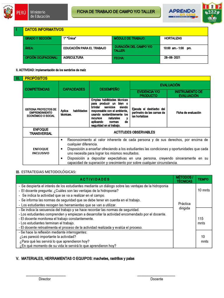 Ficha Trabajo de Campo - 2019 | PDF | Evaluación | Maestros