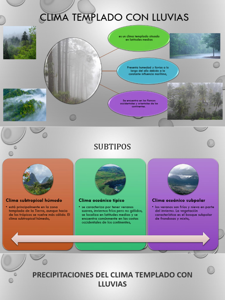 Clima Templado Con Lluvias | PDF