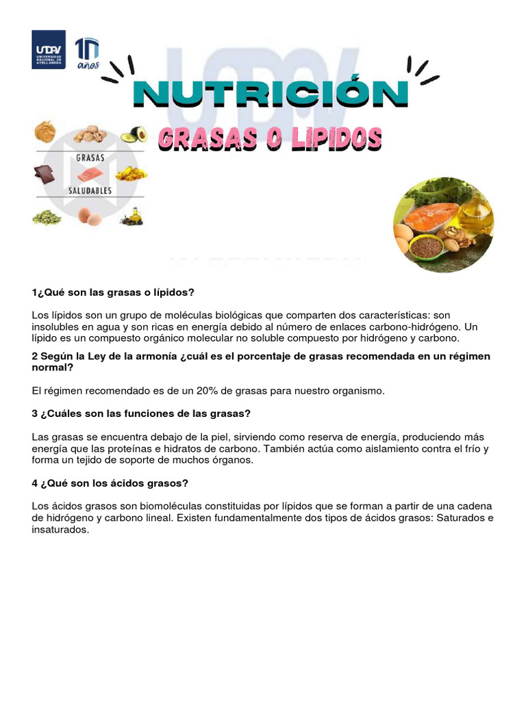 Grasas y Lípidos: Funciones y Tipos | PDF | Ácido graso | gordo
